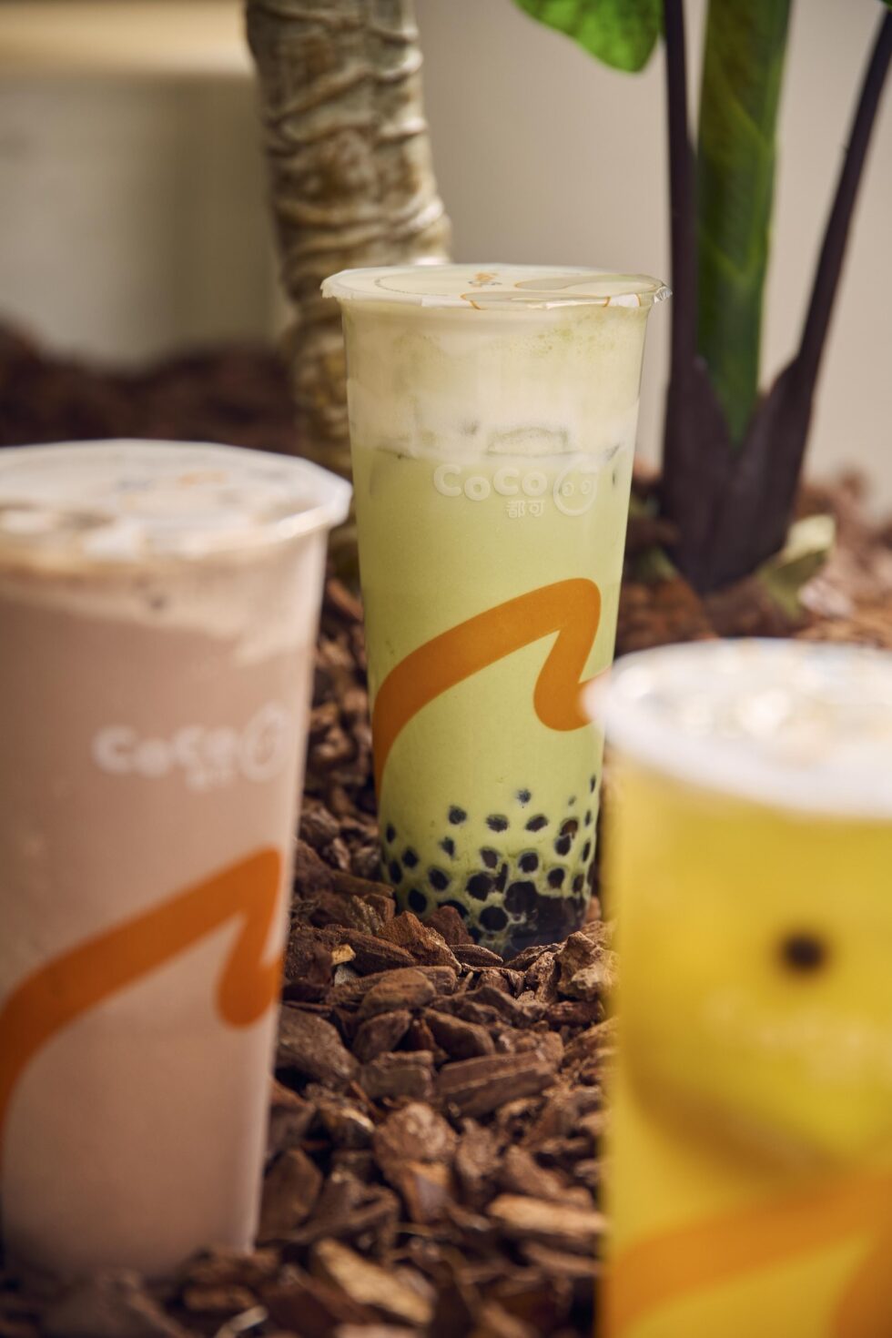 About us - CoCo Bubble Tea